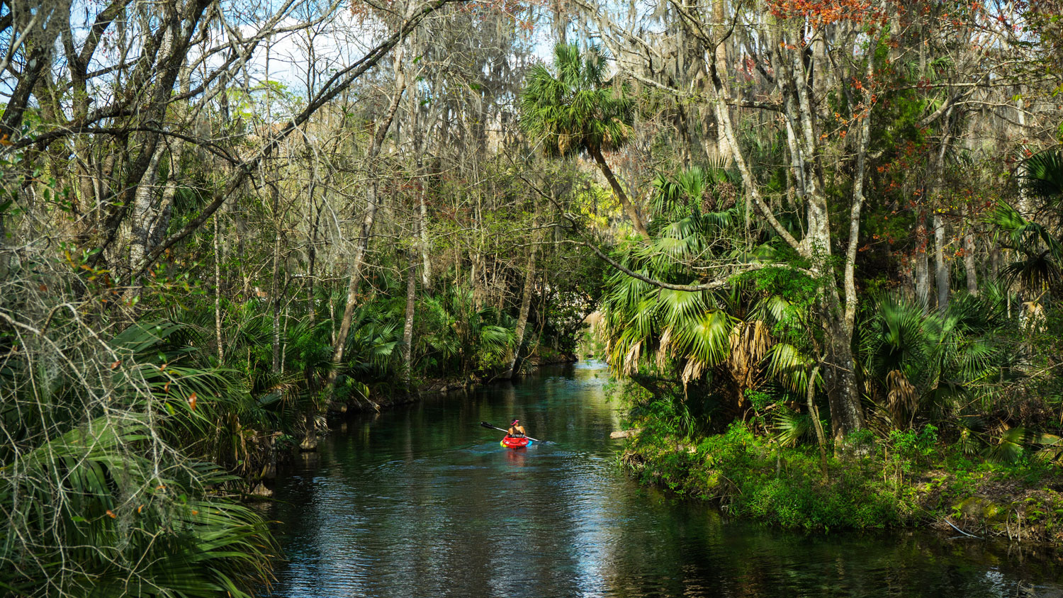 Ways To Enjoy The Spectacular Beauty Of Florida On Your TV