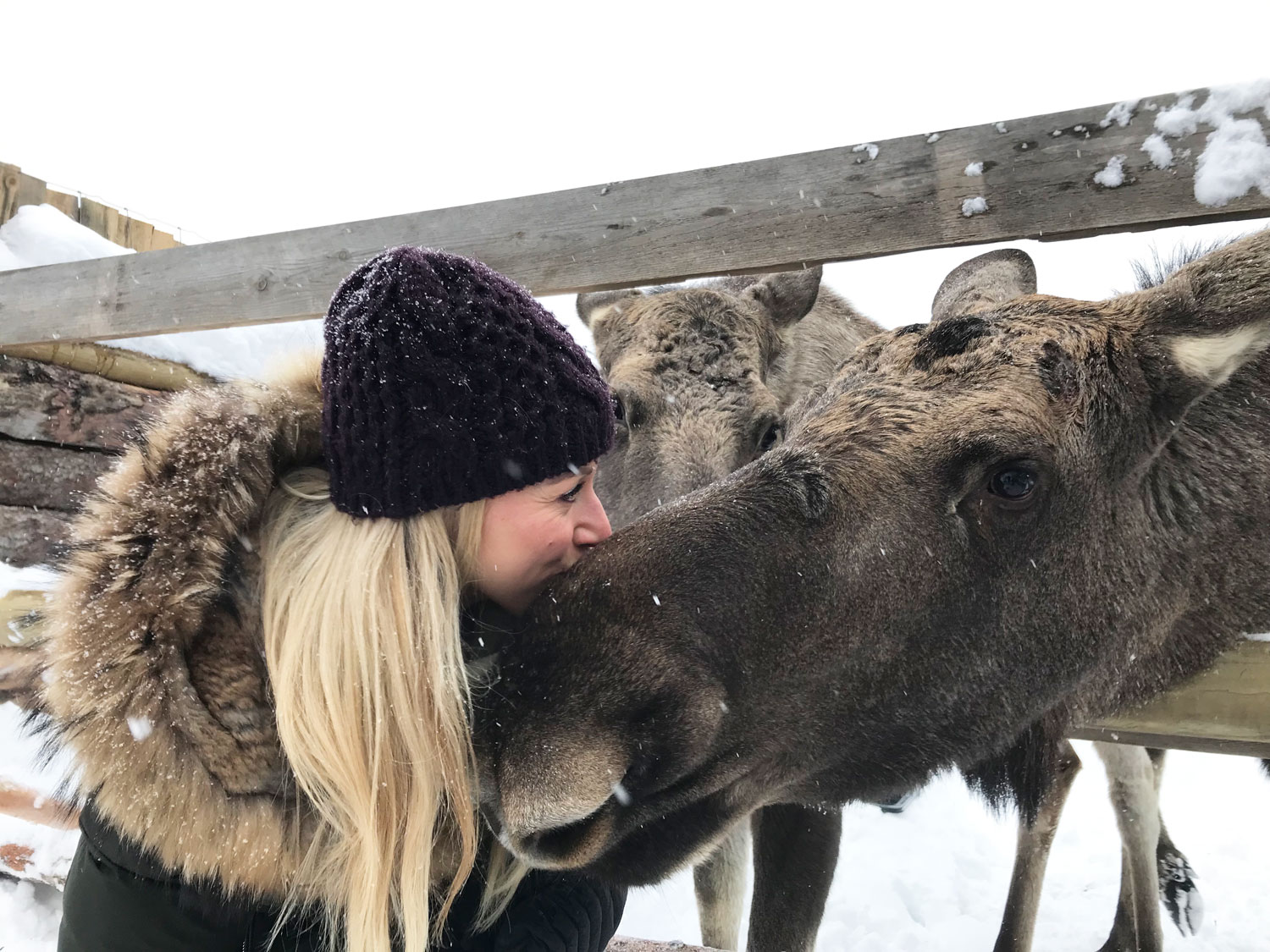 Free Four-Day Virtual Holiday To Include A Hot Air Balloon And Arctic Bath!