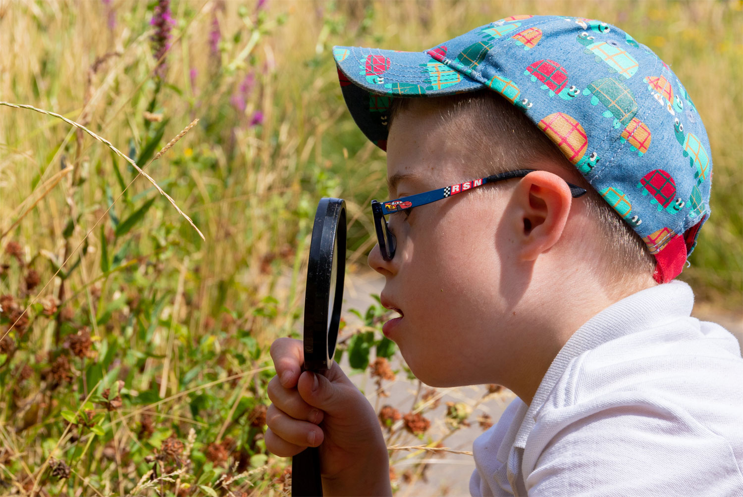 Wildlife Charity WWT Launches Online 'Wild' Home Learning Hub