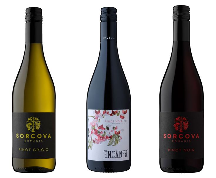 Exclusive Interview With Philip Cox, Owner Of Cramele Recas