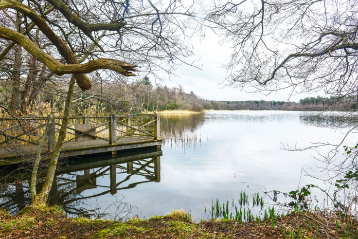 Reap The Benefits Of Biophilic Experiences At Fritton Lake