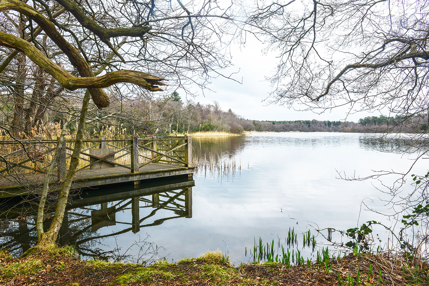 Reap The Benefits Of Biophilic Experiences At Fritton Lake