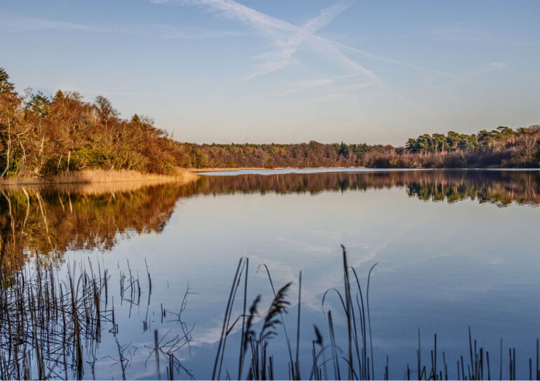 Reap The Benefits Of Biophilic Experiences At Fritton Lake