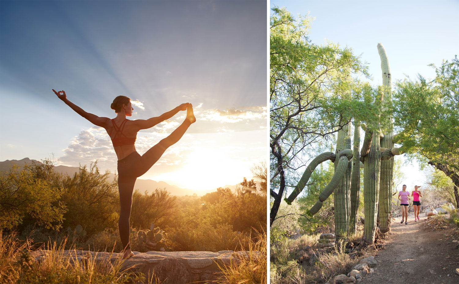 Guide To Five Amazing Luxury Wellness Resorts In Arizona