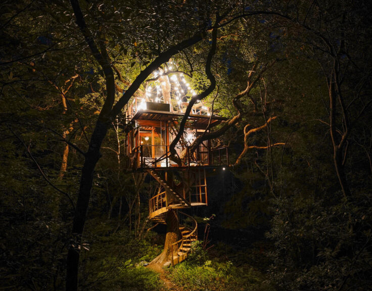 Experience 'Komorebi' At Treeful Treehouse On Okinawa Island In 2021