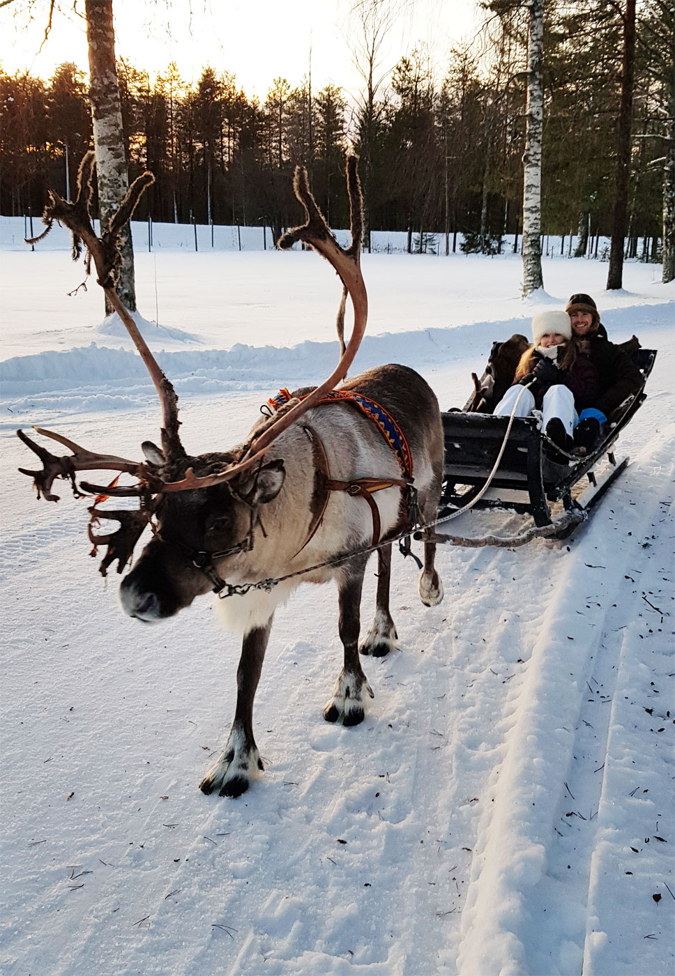 Spend Time With Santa Claus This Christmas In Swedish Lapland