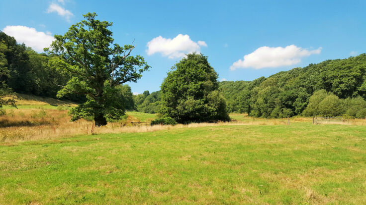 Midas Mead Refines And Elevates A Drink Steeped In Mythology