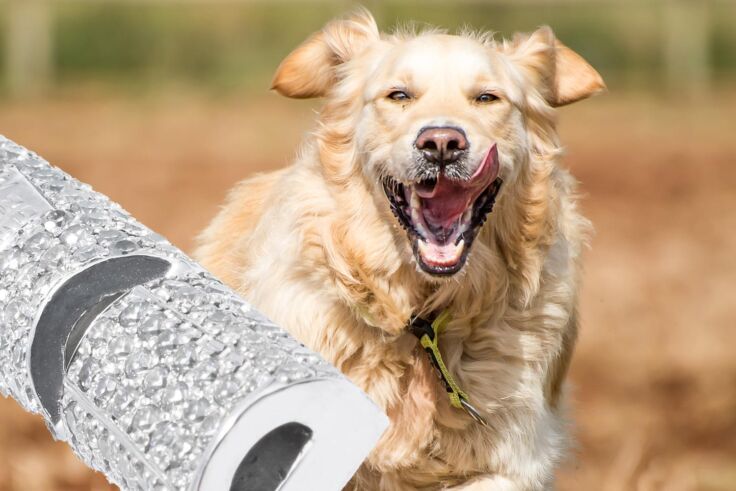 ACME Unveils An Incredible Dog Whistle Encrusted With 470 Diamonds