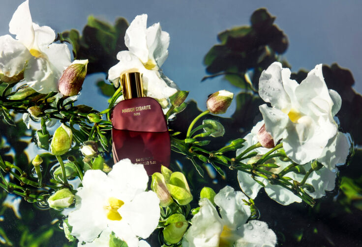 Maison Sybarite Amber Gaze Fragrance From Master Perfumer Antoine Lie