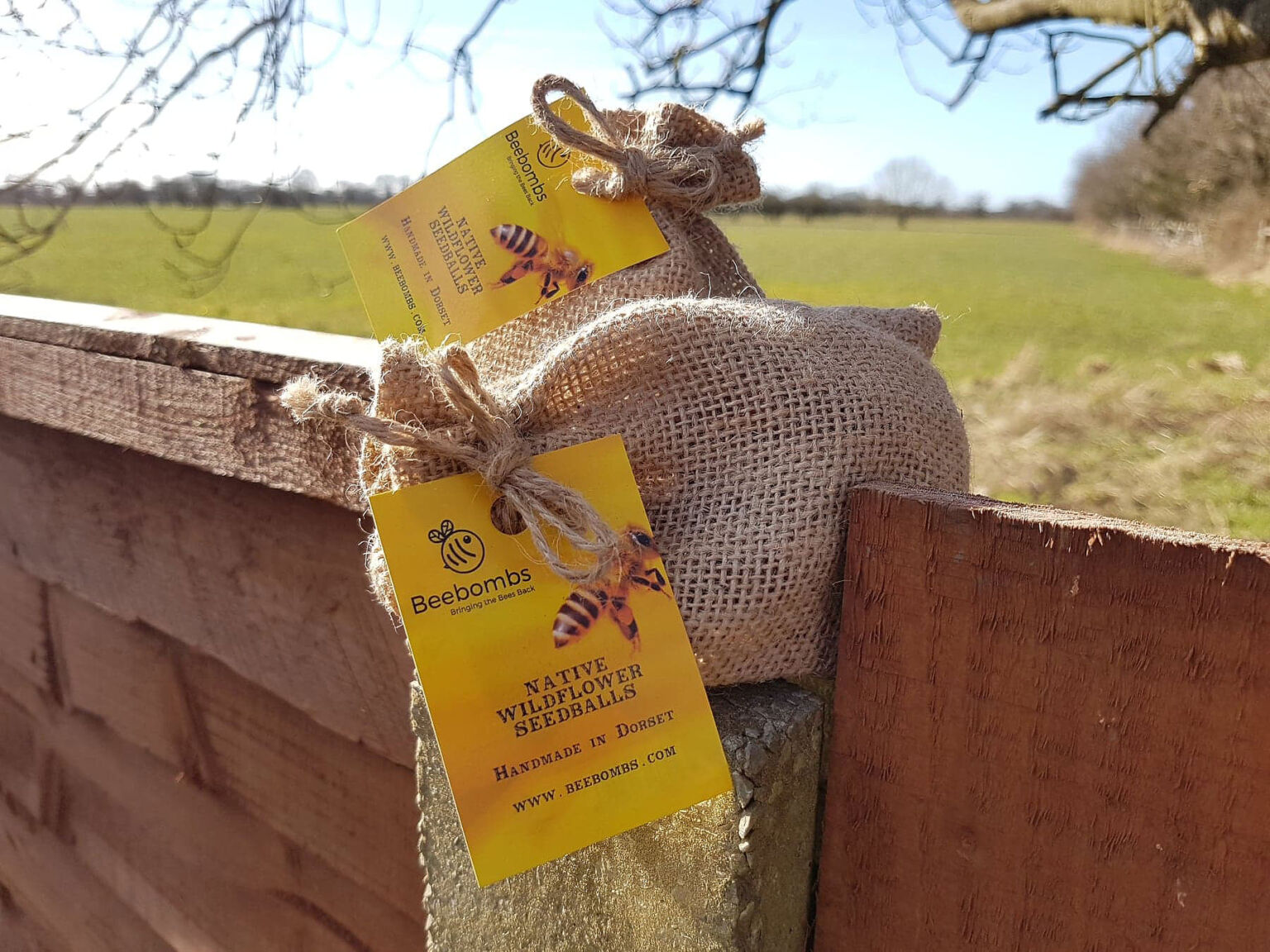 Beebombs Are The Perfect Way To Spread Some Love This Spring