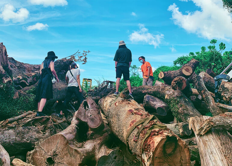 Hong Kong's PENICILLIN Is Rewarded For Its Incredible Focus On ...
