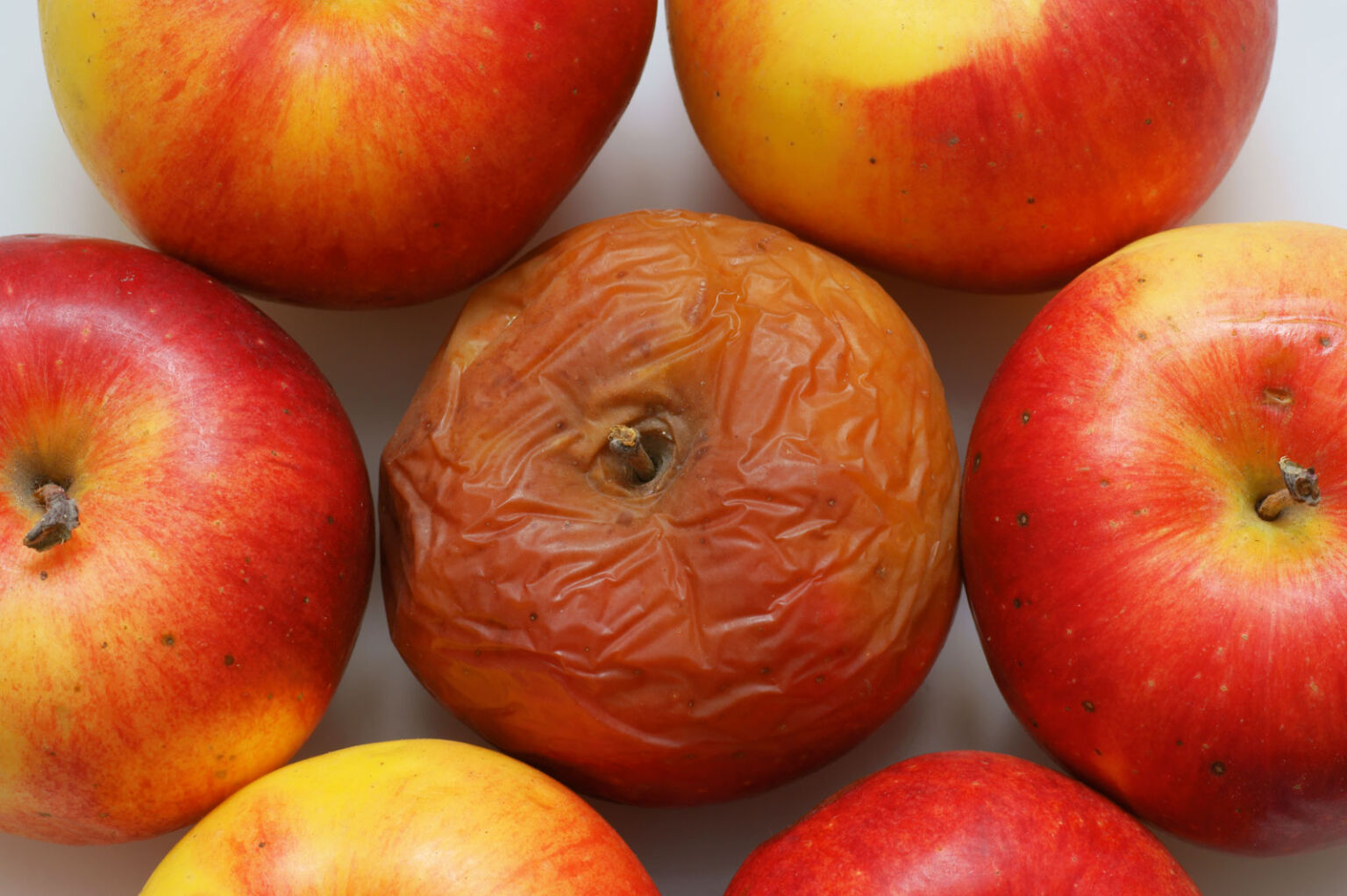 Which Are The Fastest Rotting Foods You'll Have In Your Home?