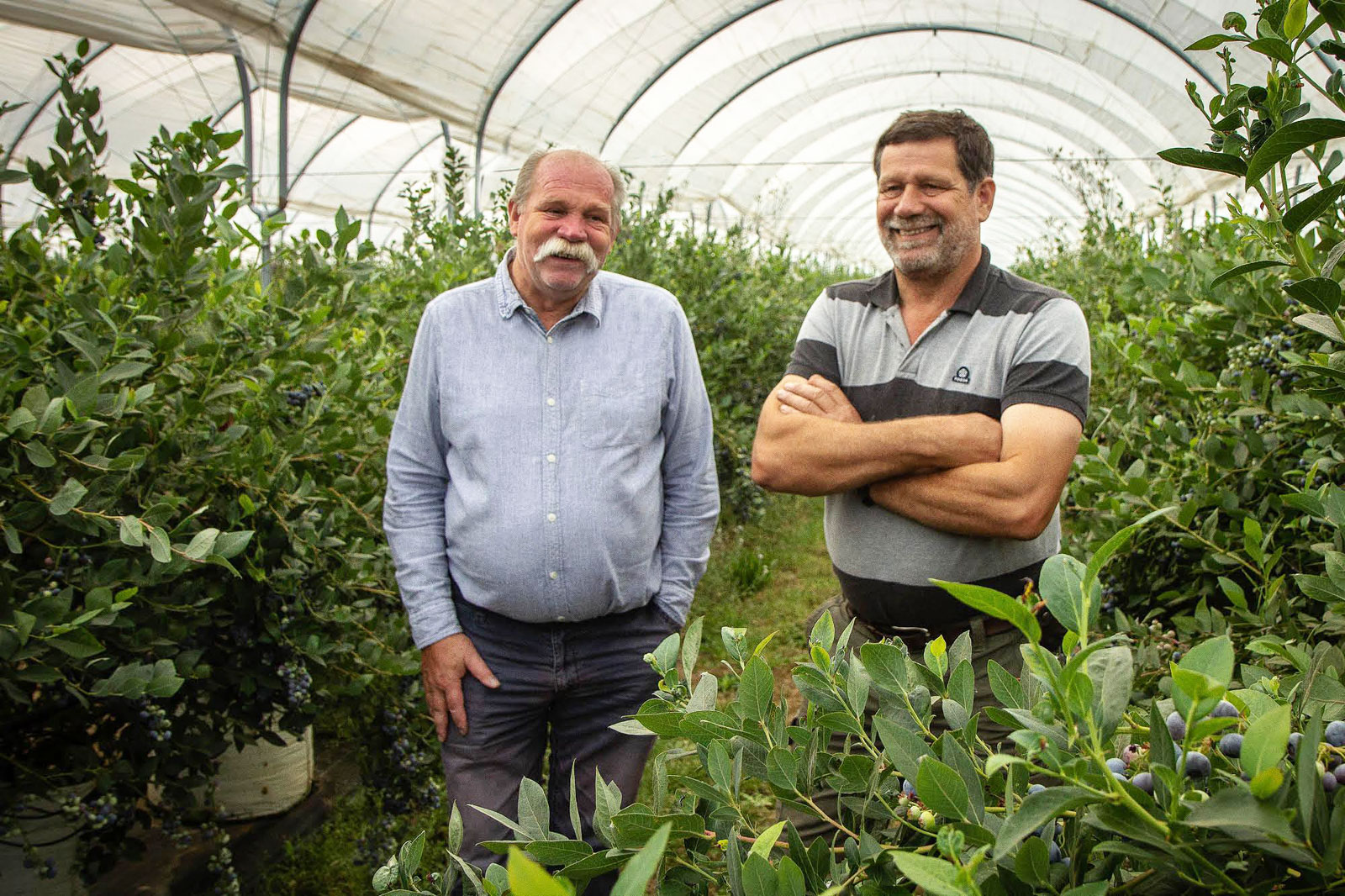 Reserve A Space For Blue Aurora's Blueberry Wine At Your Next Get-together