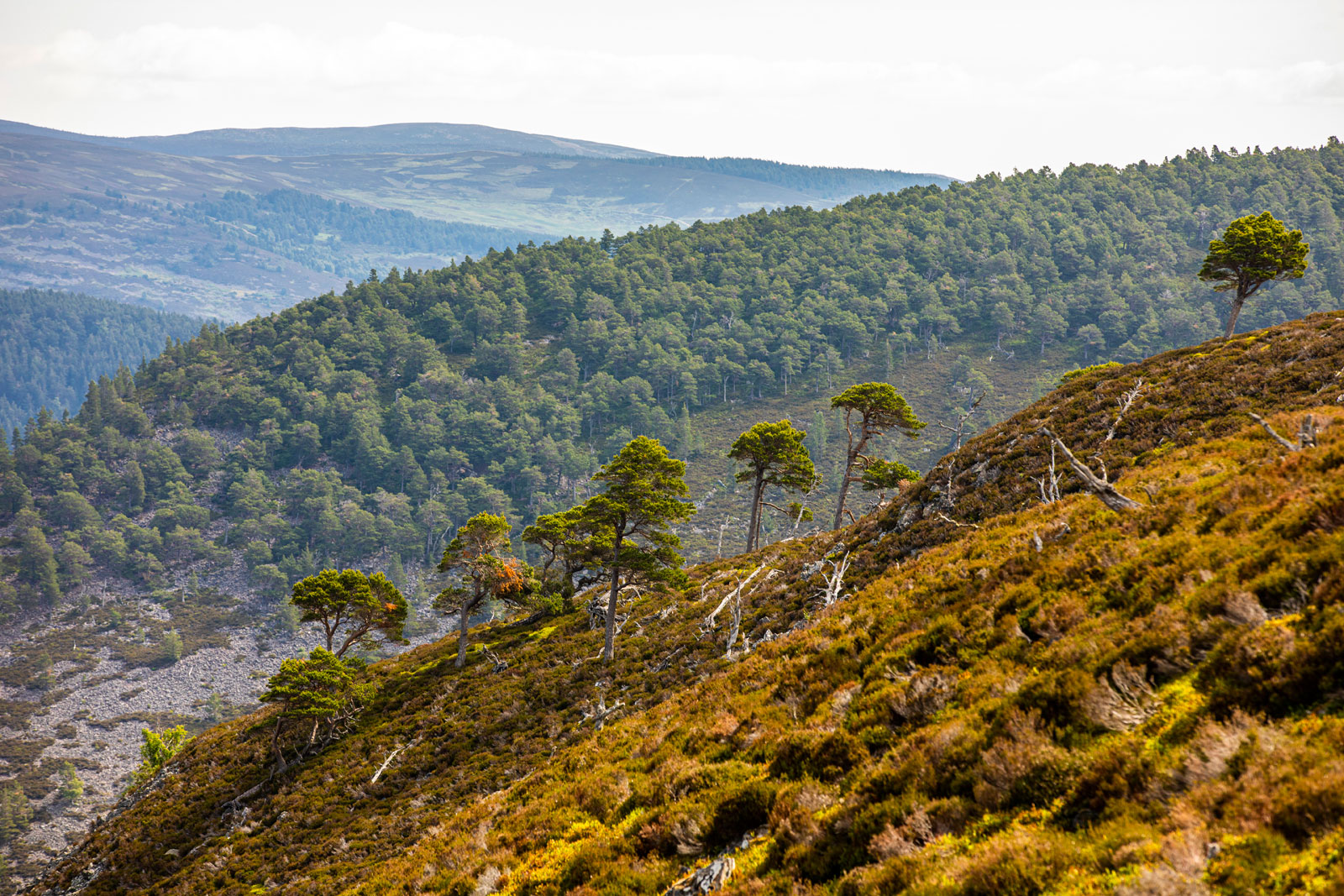 Abergeldie Estate In The Highlands Goes On Sale For The First Time In ...