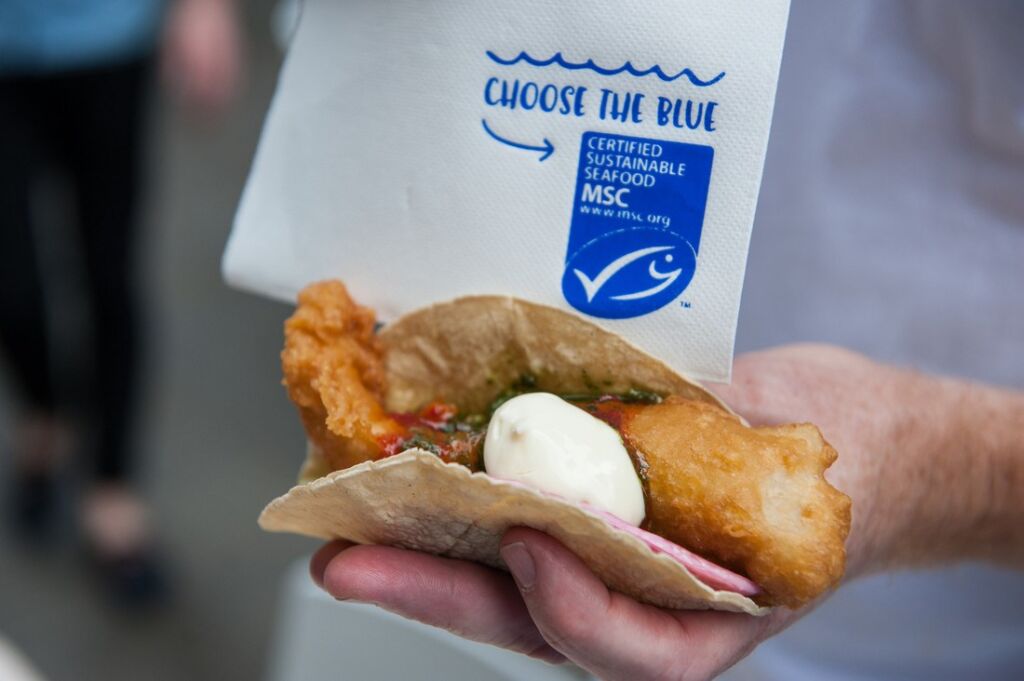 MSC Reveals Sustainable Seafood Sales Reached An All-time High In 2020-21