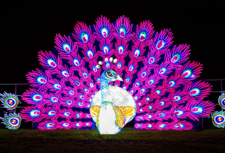 Lightopia London Will Bring Some Extra Wow And Sparkle To Christmas