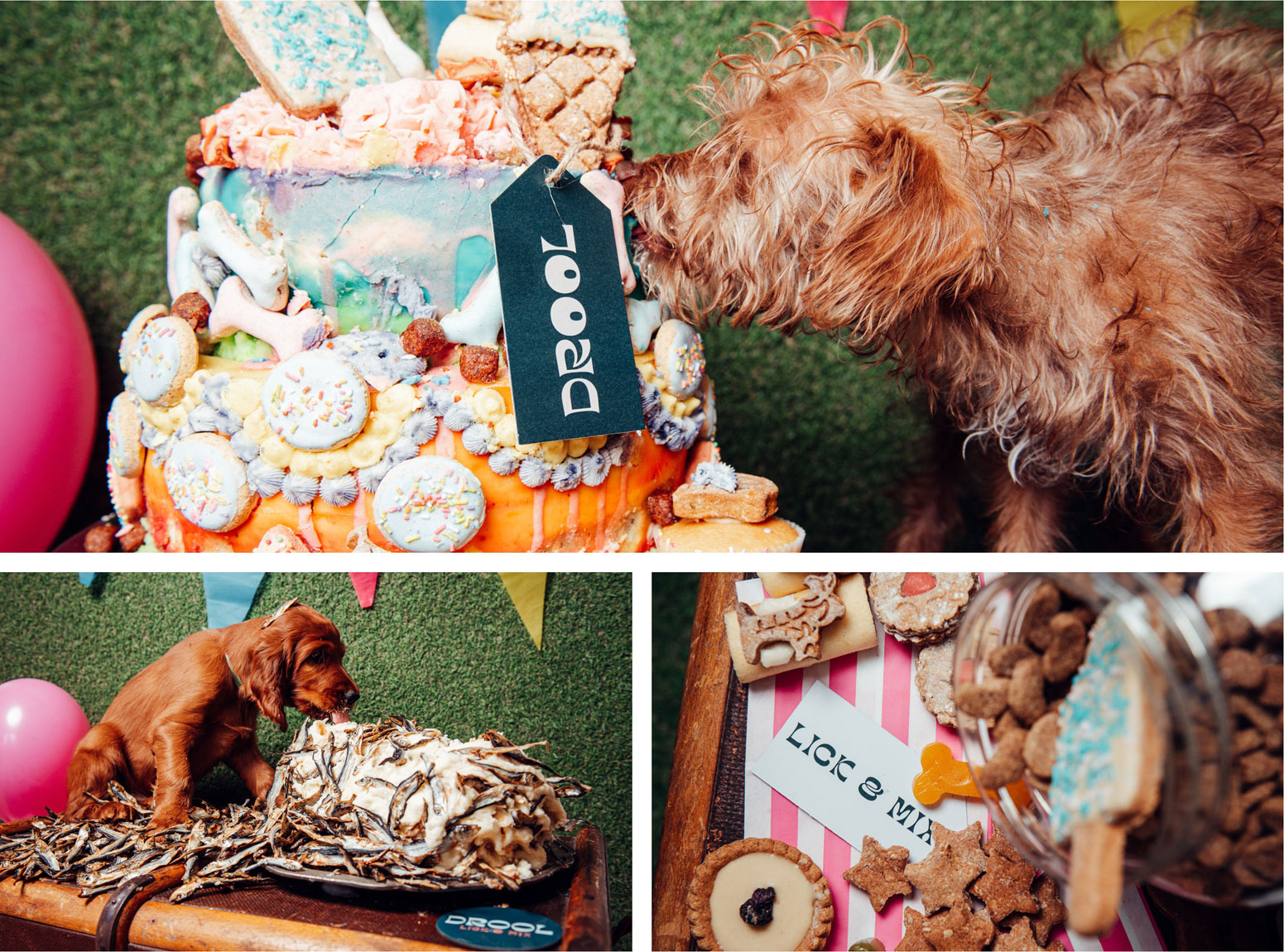 After Almost 50 Years Bobby & Co Returns To Its Original Site