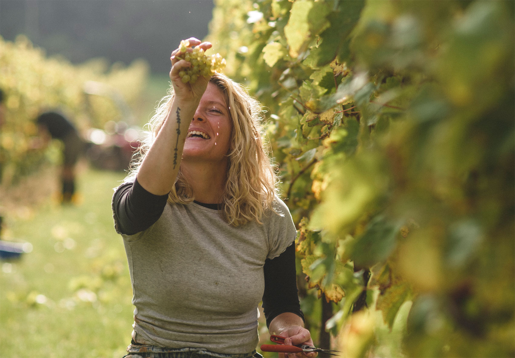 Sandridge Barton Launches Their Sharpham New Release 2021