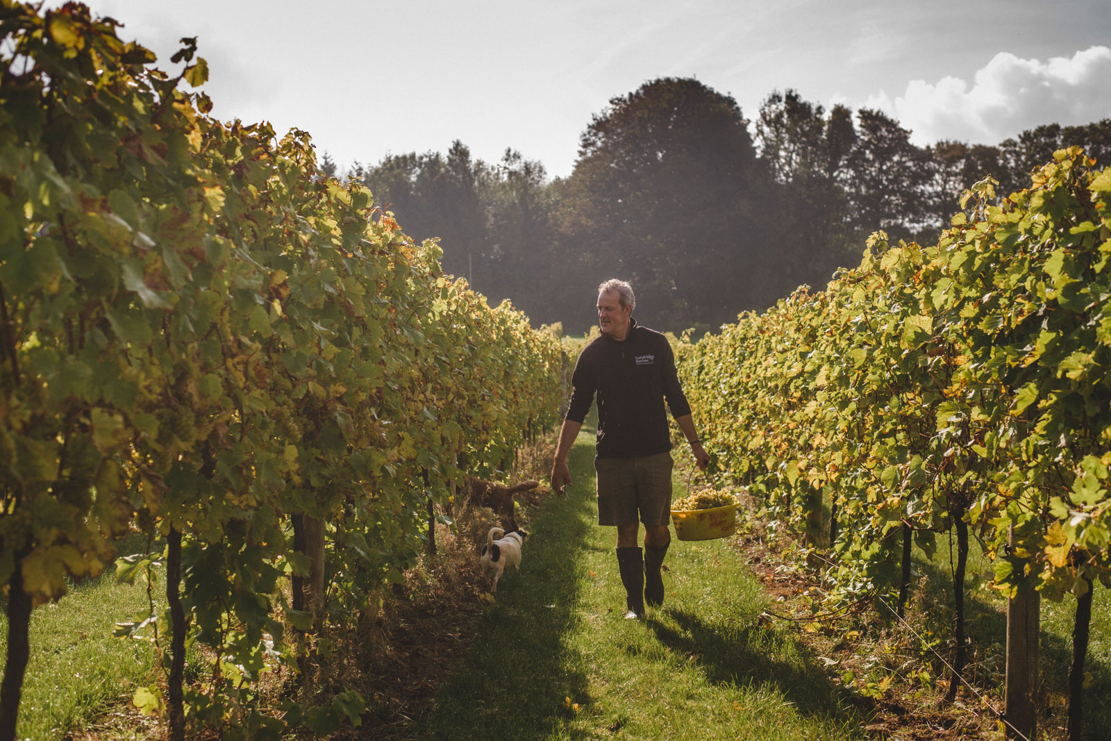 Sandridge Barton Launches Their Sharpham New Release 2021