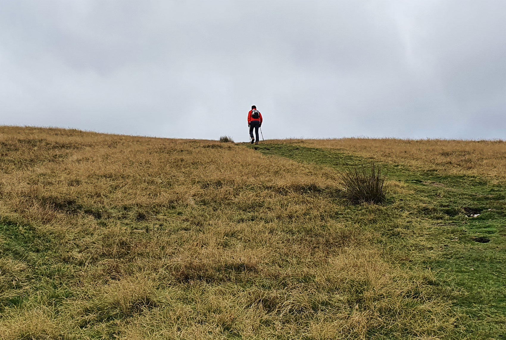 Buy Second-Hand Goods, Repurpose And Repair To Help Save The Planet