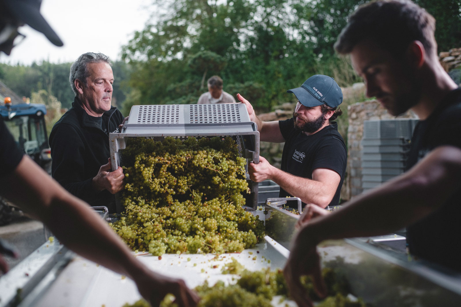 Sandridge Barton Launches Their Sharpham New Release 2021