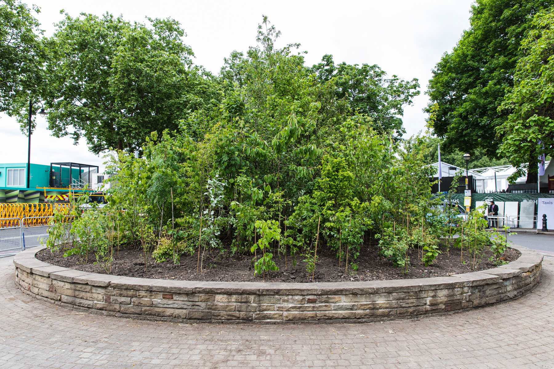 Cadogan, Louis Vuitton & SUGi Collaborate At 2022 Chelsea Flower Show