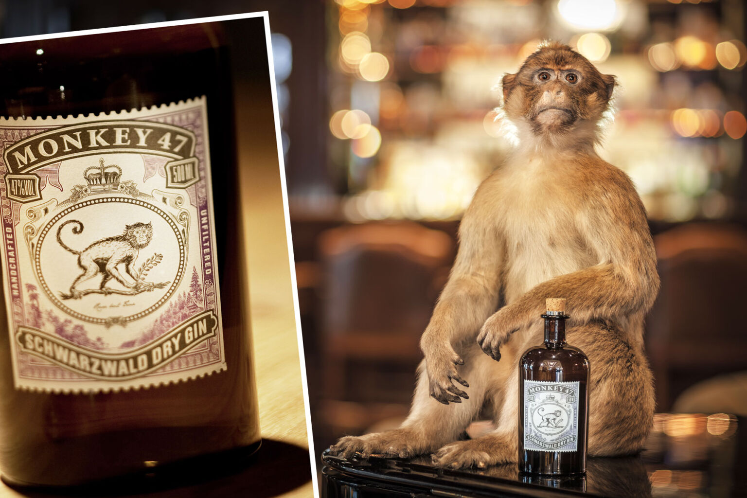 Entering The Wunderbar World Of Monkey 47 Gin In Germany's Black Forest