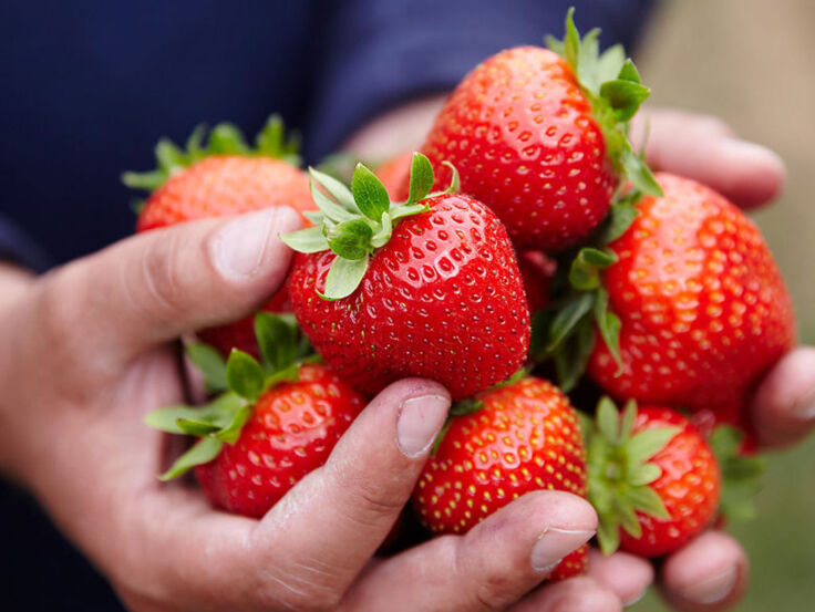The Benefits Of Red Berry Fruits Revealed In A New Scientific Study
