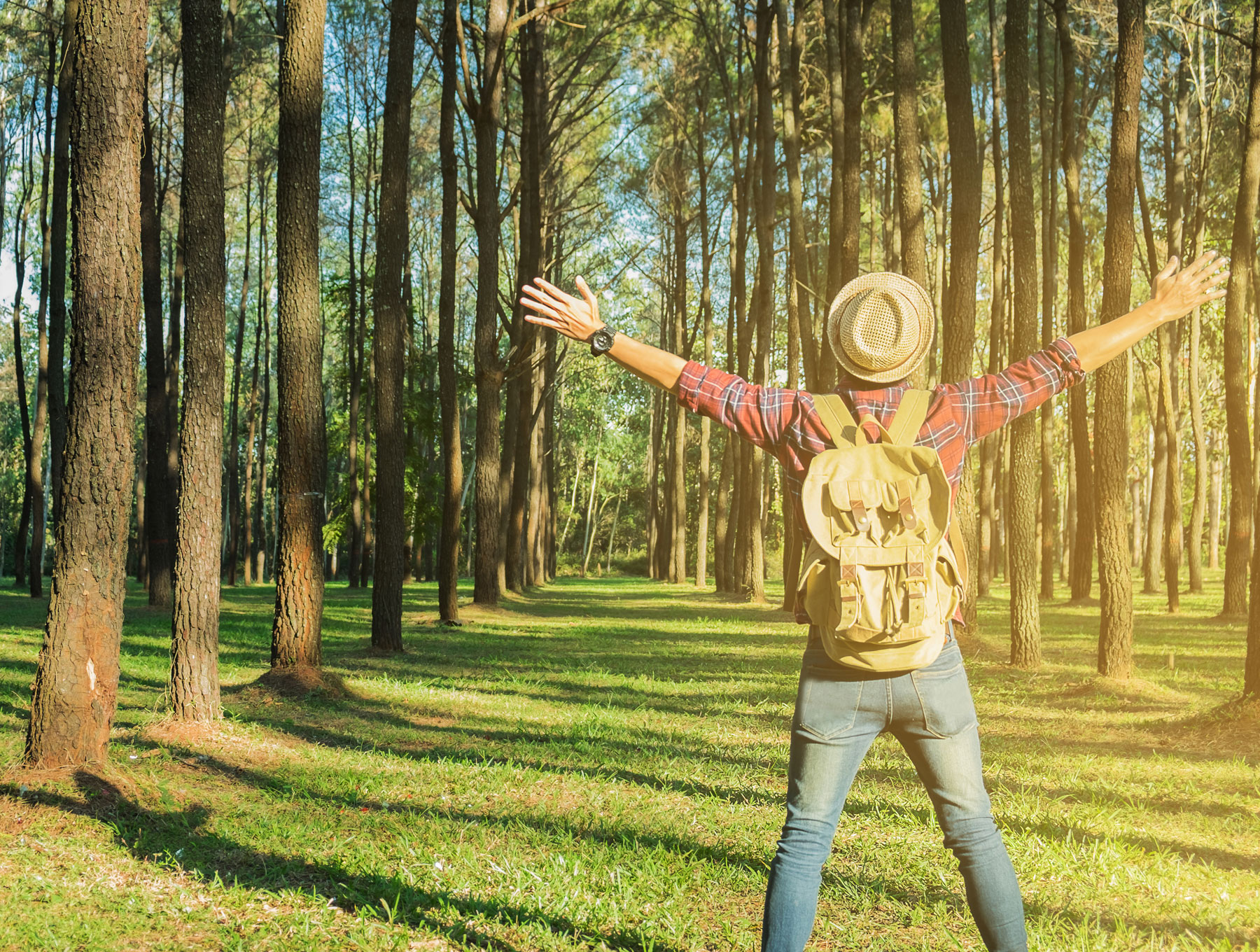 Corinne Laan' Guide To Nature Rituals And Restoring Balance To One's Life