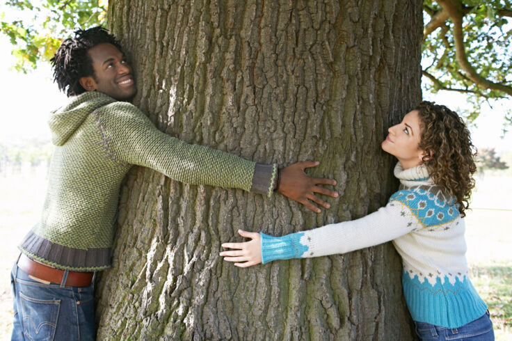 New Tree-planting Aerial Drone Technology To Help Offset Deforestation