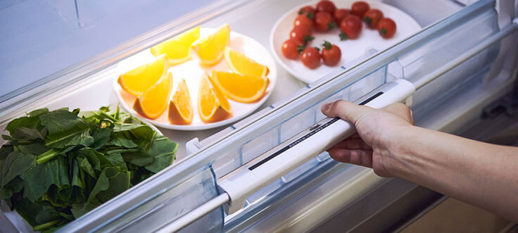 How Hitachi's New Vacuum Refrigerators Can Help Reduce Food Wastage