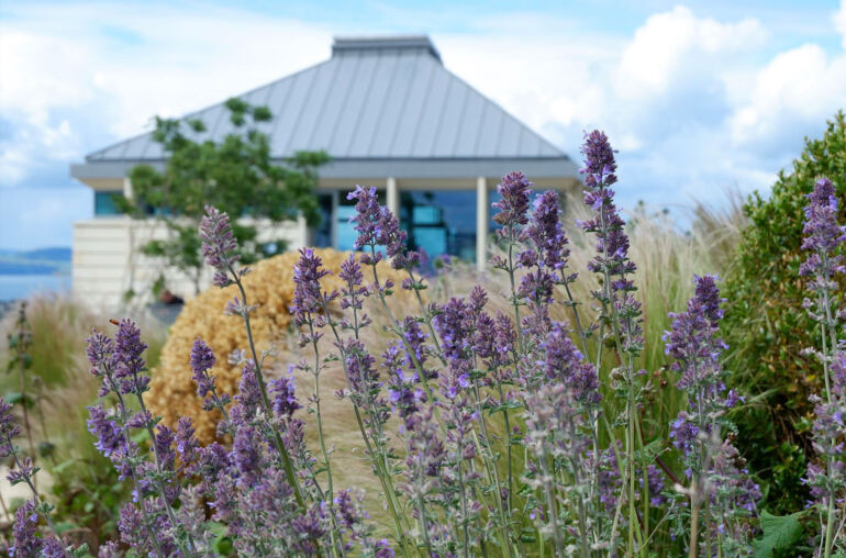 Chef Dale Mailley's The Gardener's Cottage And The Lookout In Edinburgh