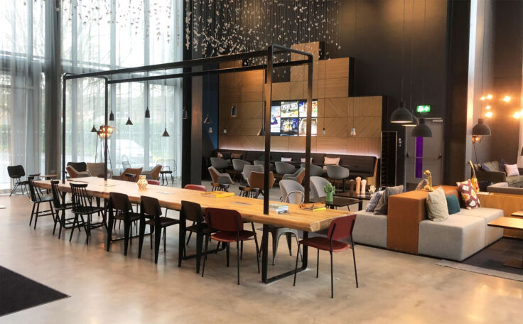 The Quirky Moxy Chester With Its Big Personality And Playful Nature