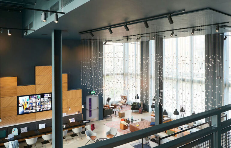 The Quirky Moxy Chester With Its Big Personality And Playful Nature