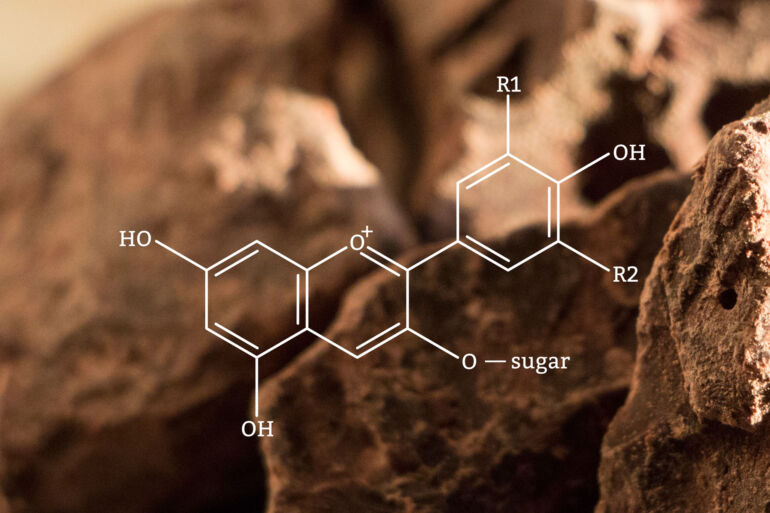 How To'ak Makes The World's Best Chocolate And Revived A Natural Wonder