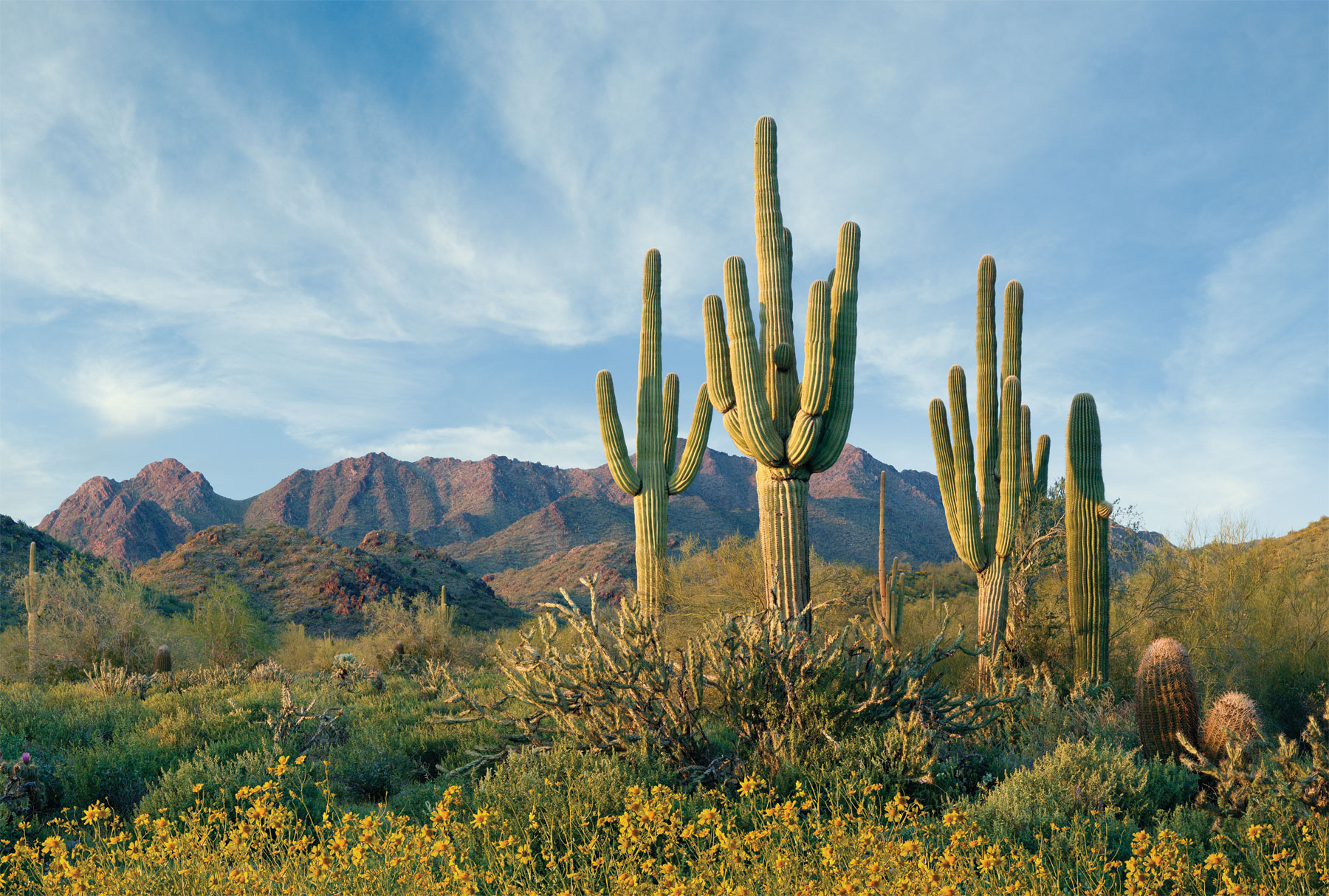Kickstart 2023 With A Wellness Escape To Scottsdale, Arizona