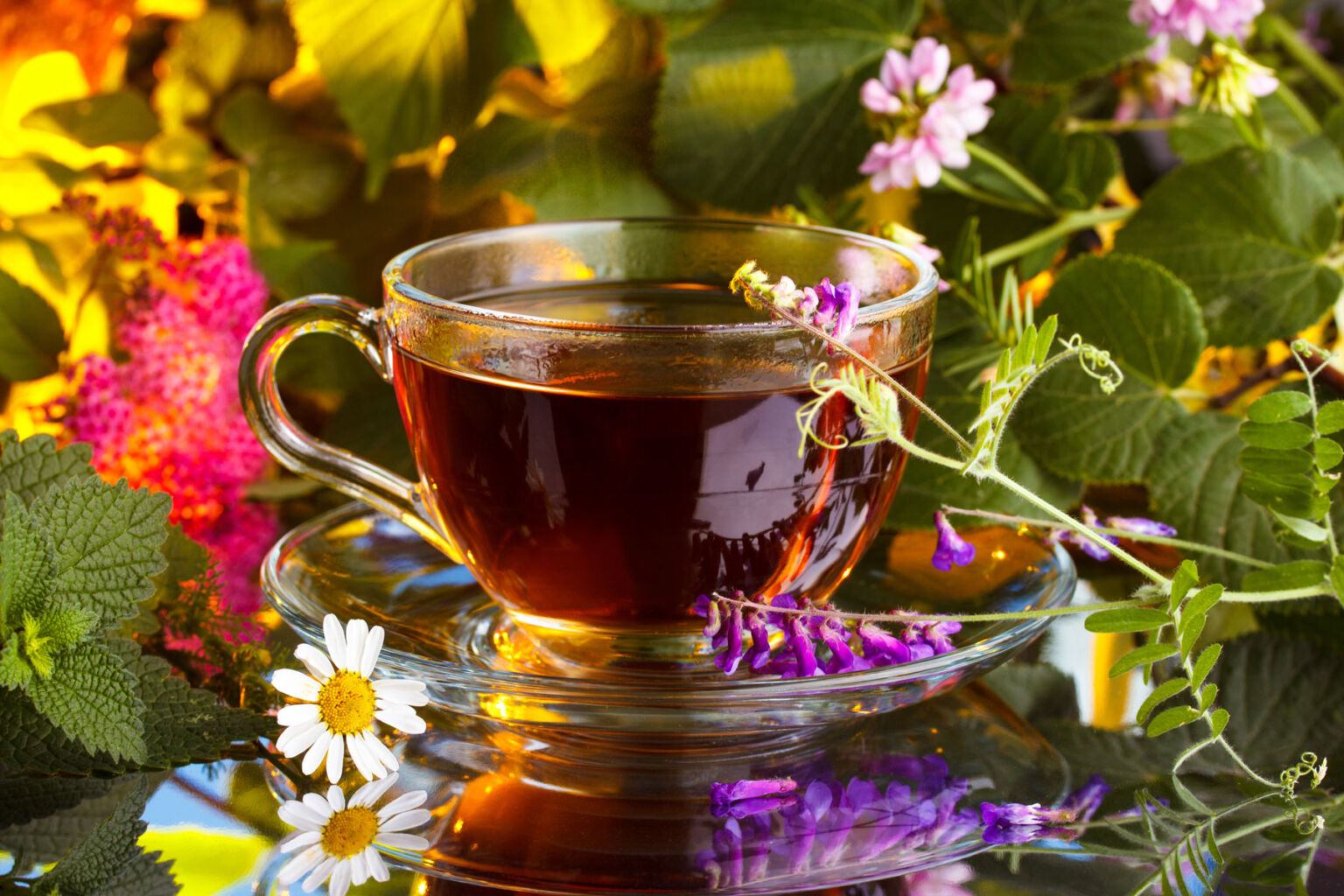 Why Flavan-3-ols Are Essential For Health And How To Get Them Into Your ...