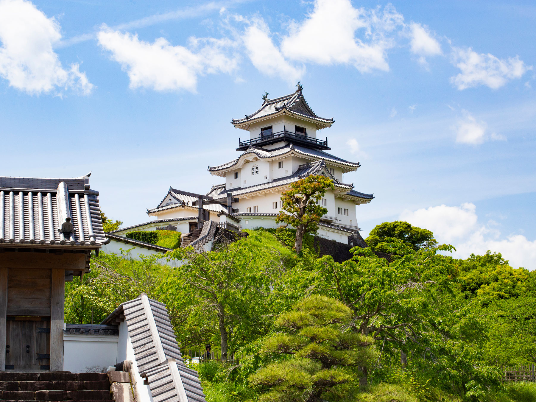 New Experiences In The Prefecture Of Shizuoka For 2023