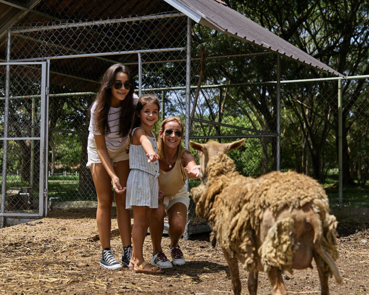 Be A Zookeeper For A Day At Panama's Family-Friendly Buenaventura Resort