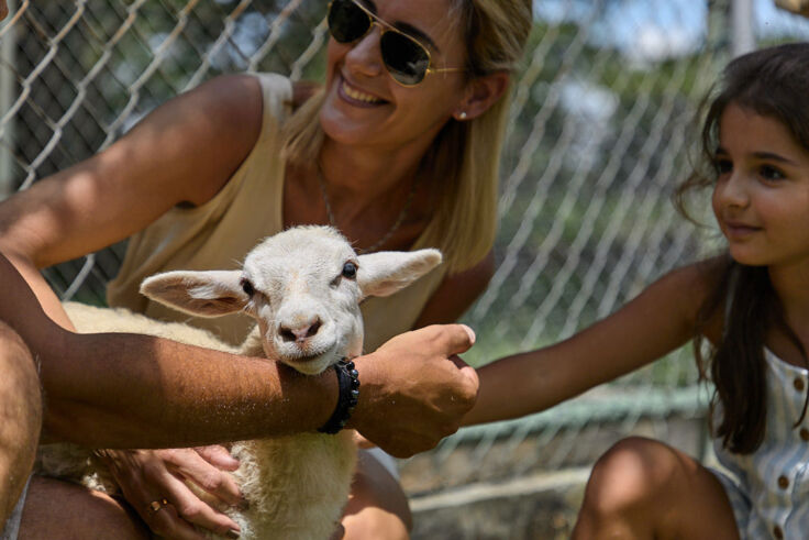 Be A Zookeeper For A Day At Panama's Family-Friendly Buenaventura Resort