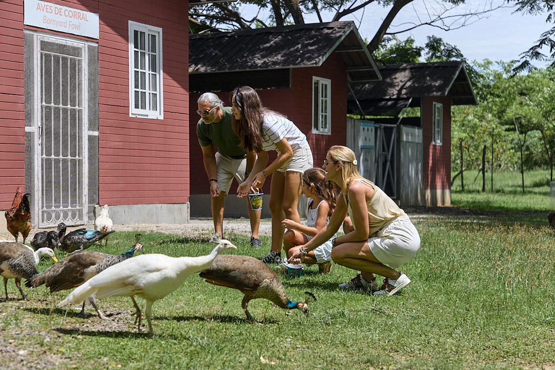 Be A Zookeeper For A Day At Panama's Family-Friendly Buenaventura Resort