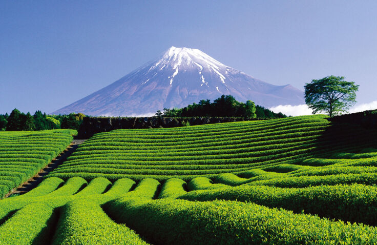 The Mt. Fuji Climbing Season Opens From July 10th To September 10th