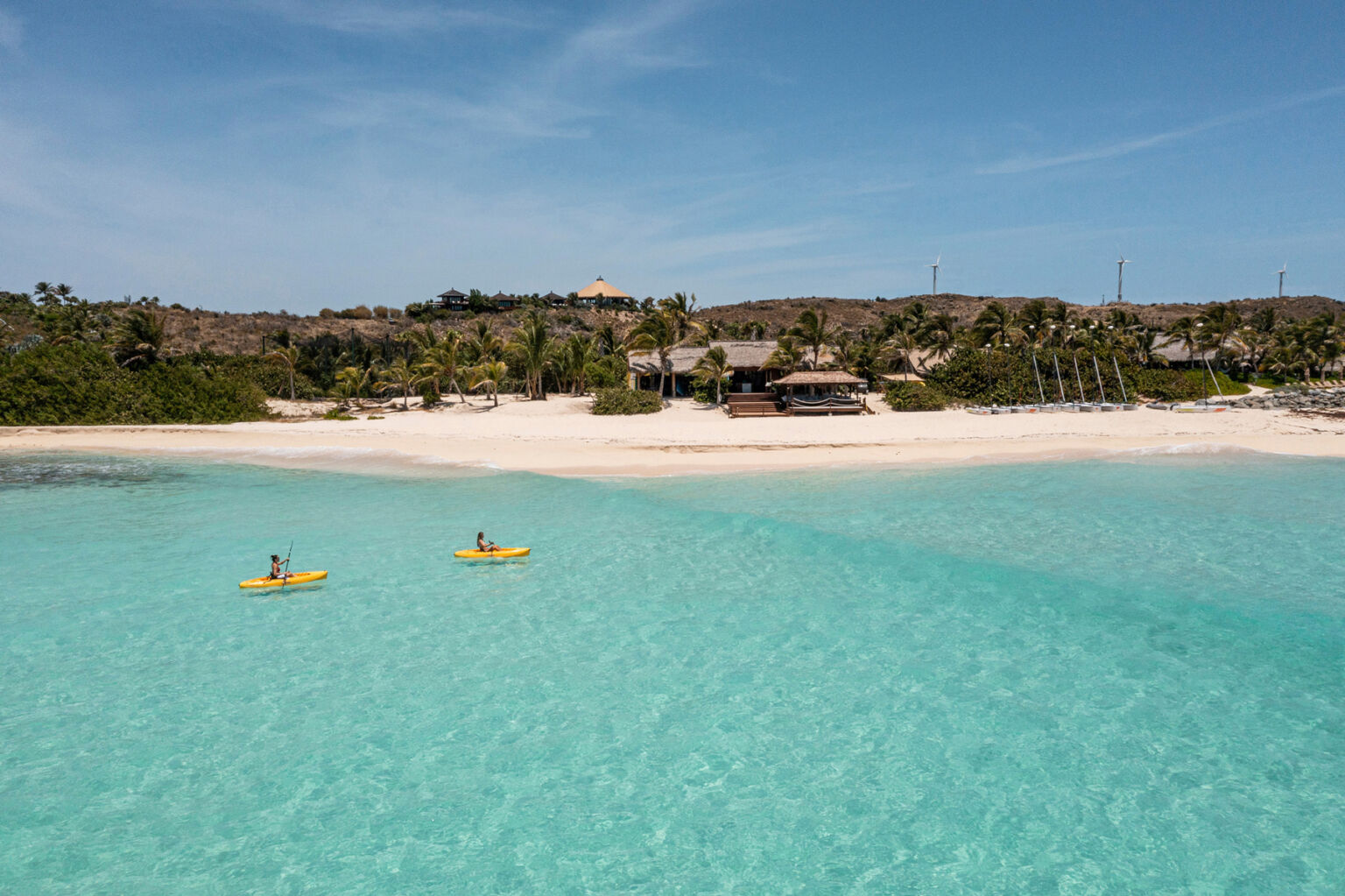 Virgin Limited Edition Launches Mangrove Conservation Tour For Necker ...