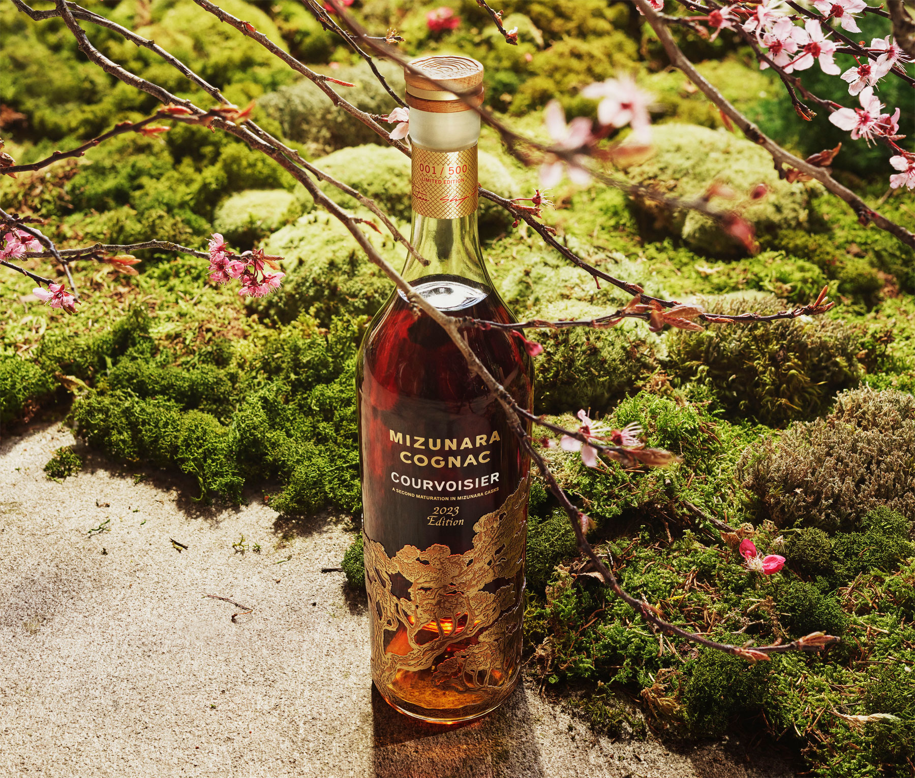 Mizunara Cognac 2023, An Evolution Of Courvoisier's Most Precious Blend ...