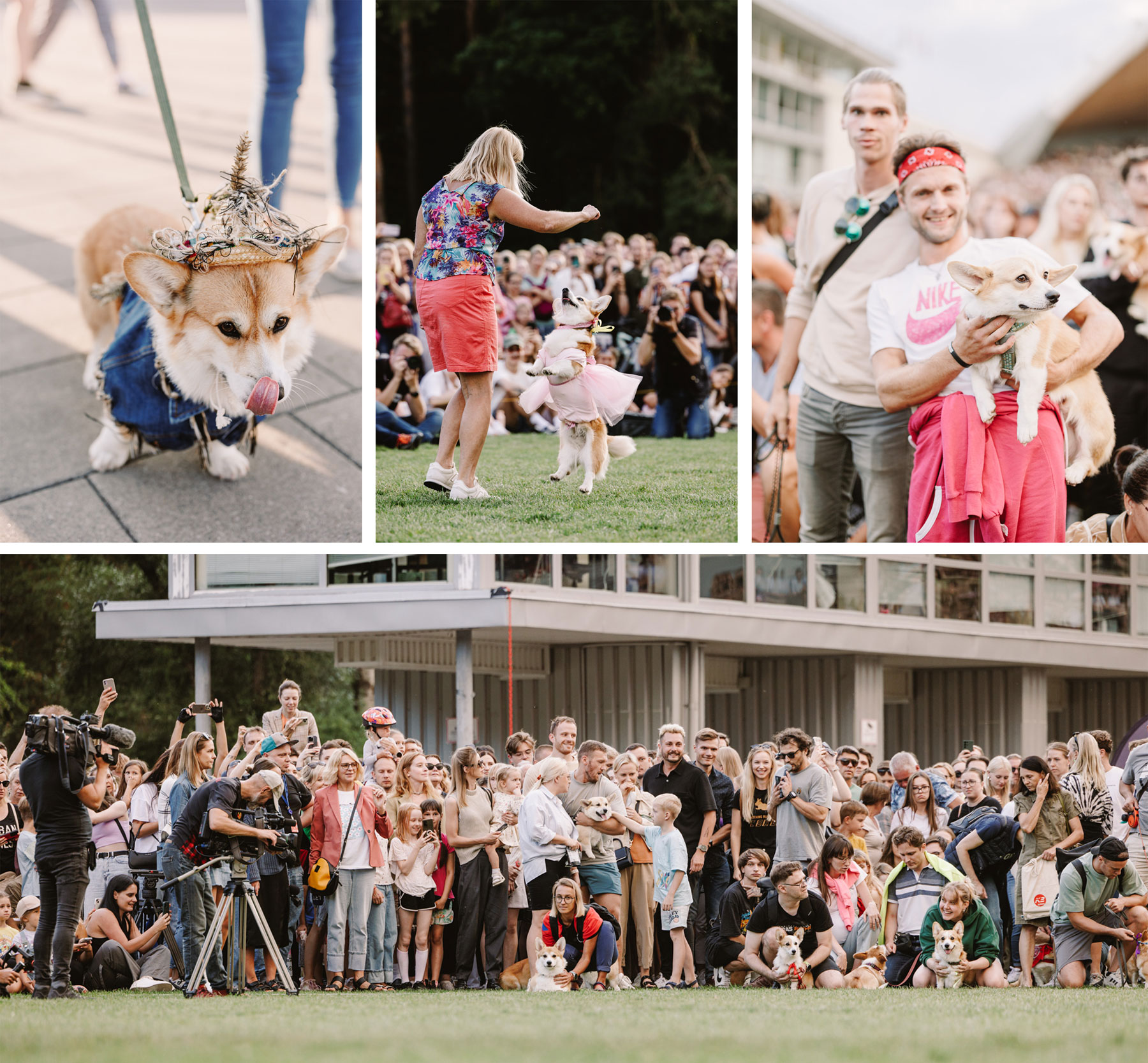 The Fastest Corgi Race Continues Vilnius' 700th Anniversary Celebrations