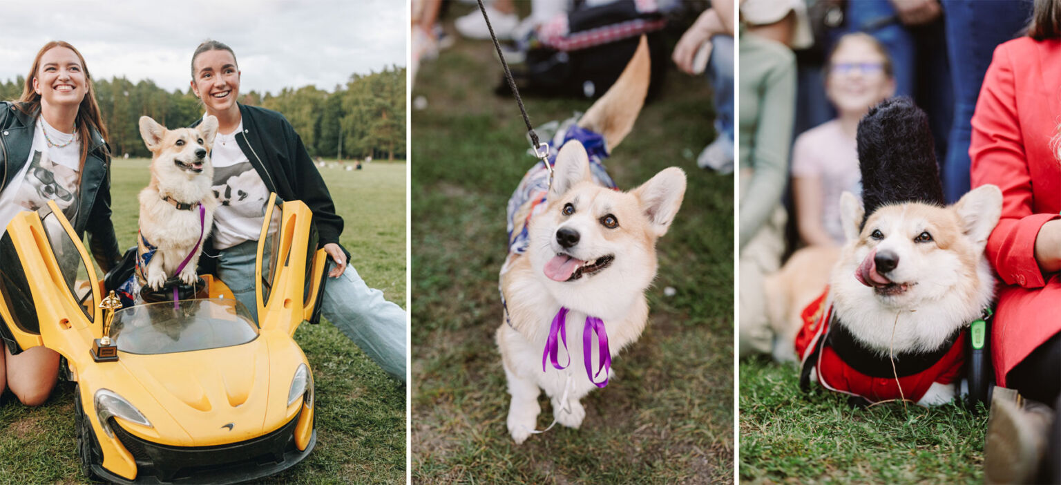 The Fastest Corgi Race Continues Vilnius' 700th Anniversary Celebrations