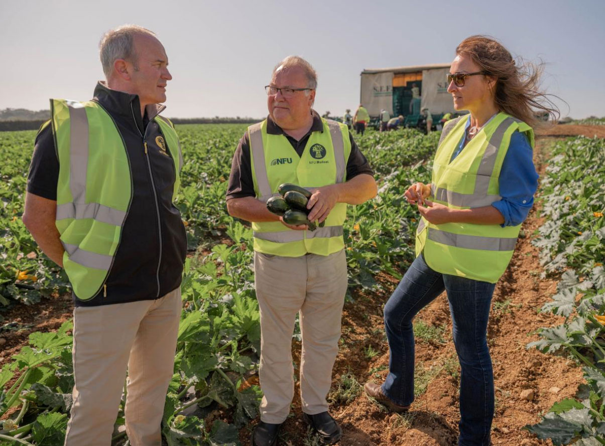 A Cornish Farm Has Donated 396 Tonnes Of Surplus Produce To Fight Poverty