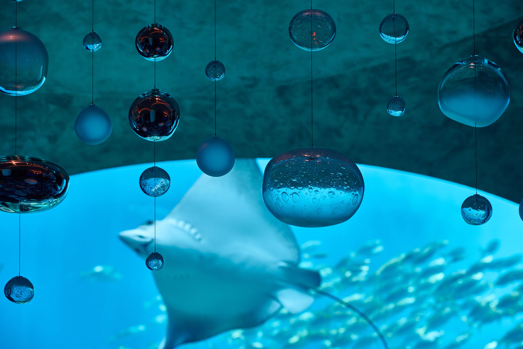 Chefs Grégoire Berger & Josh Niland To Unite At Atlantis, The Palms ...