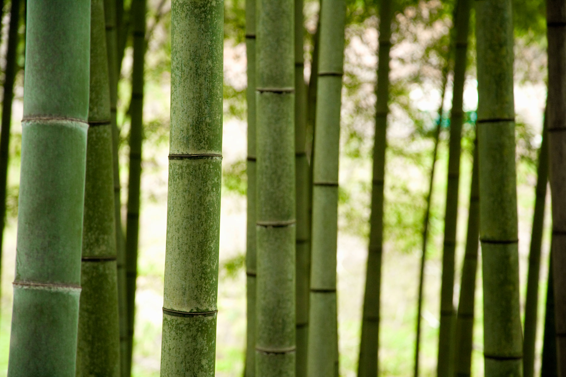 Luff Sleep Bamboo Silk Bedding, Sweet Dreams Are Made Of These