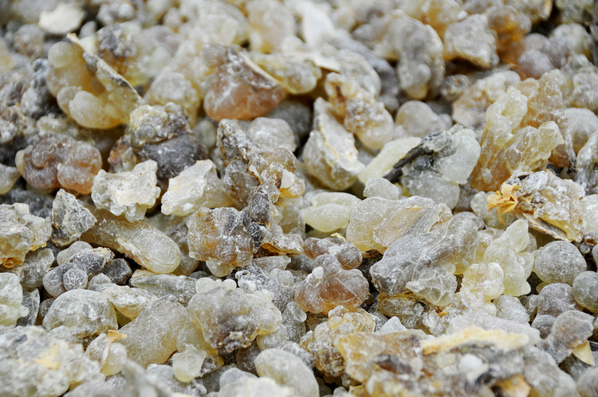 The 2023/2024 Guide To Oman's Top Five Frankincense Experiences